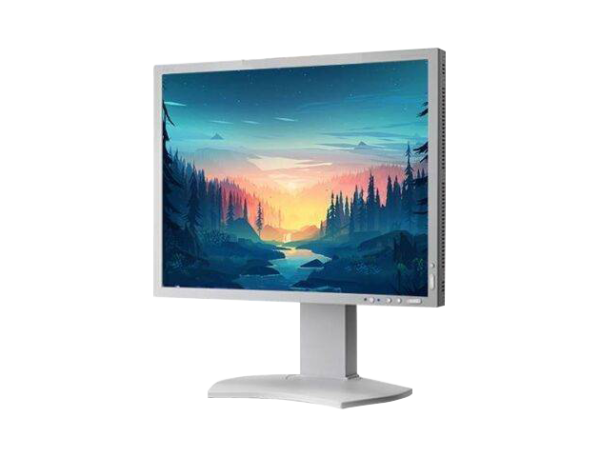 NEC N2065 Monitor - MAT Computer System